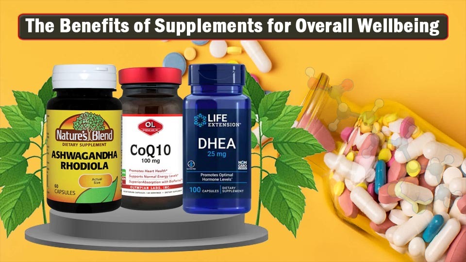 The Best Guide to Wellness: Top Health Brands at Herbspro in 2023