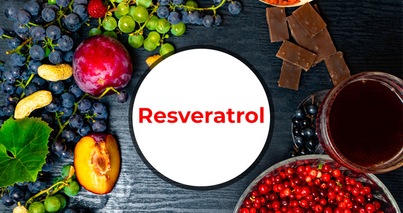 HerbsPro.com | Resveratrol: Benefits, Usage, And Possible Risks